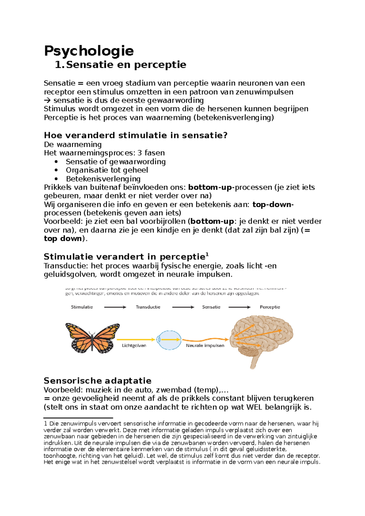 Psychologie samenvatting - sensatie en perceptie - Psychologie 1 ...