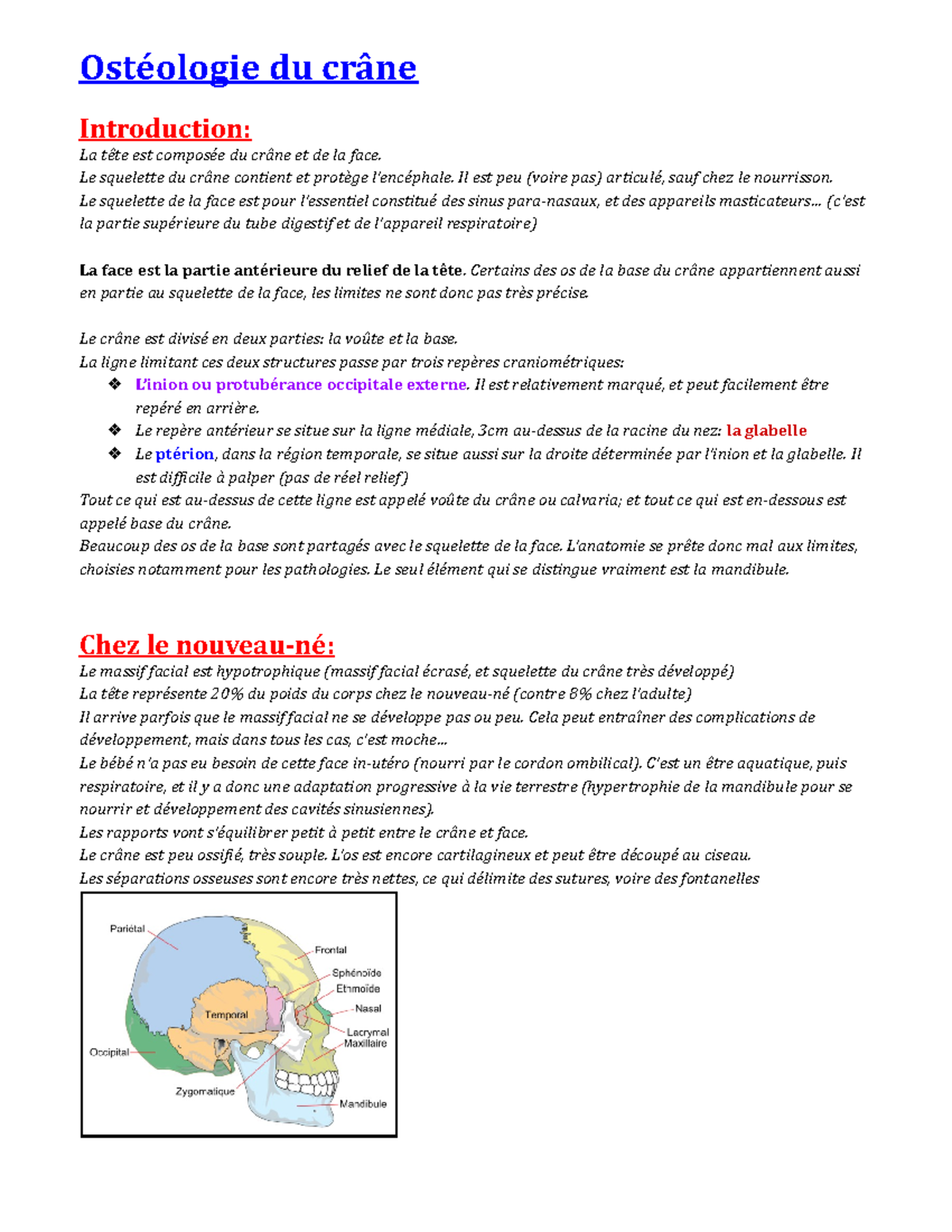 Anatomie Du Crâne Cours Ostéologie Du Crâne Introduction La Tête Est Composée Du Crâne Et