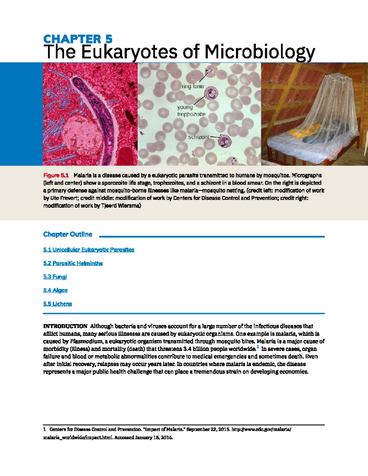 Chapter 5 - Textbook - BIO 100 - Studocu
