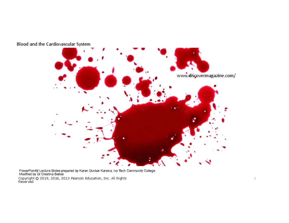 Cardiovascular system introduction to blood and heart - PLN 103 ...