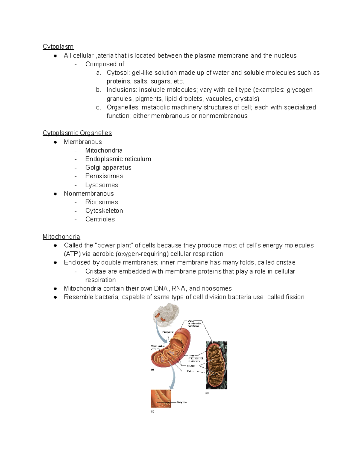 Human Anatomy & Physiology Chapter 3- Cells; The Living Units ...