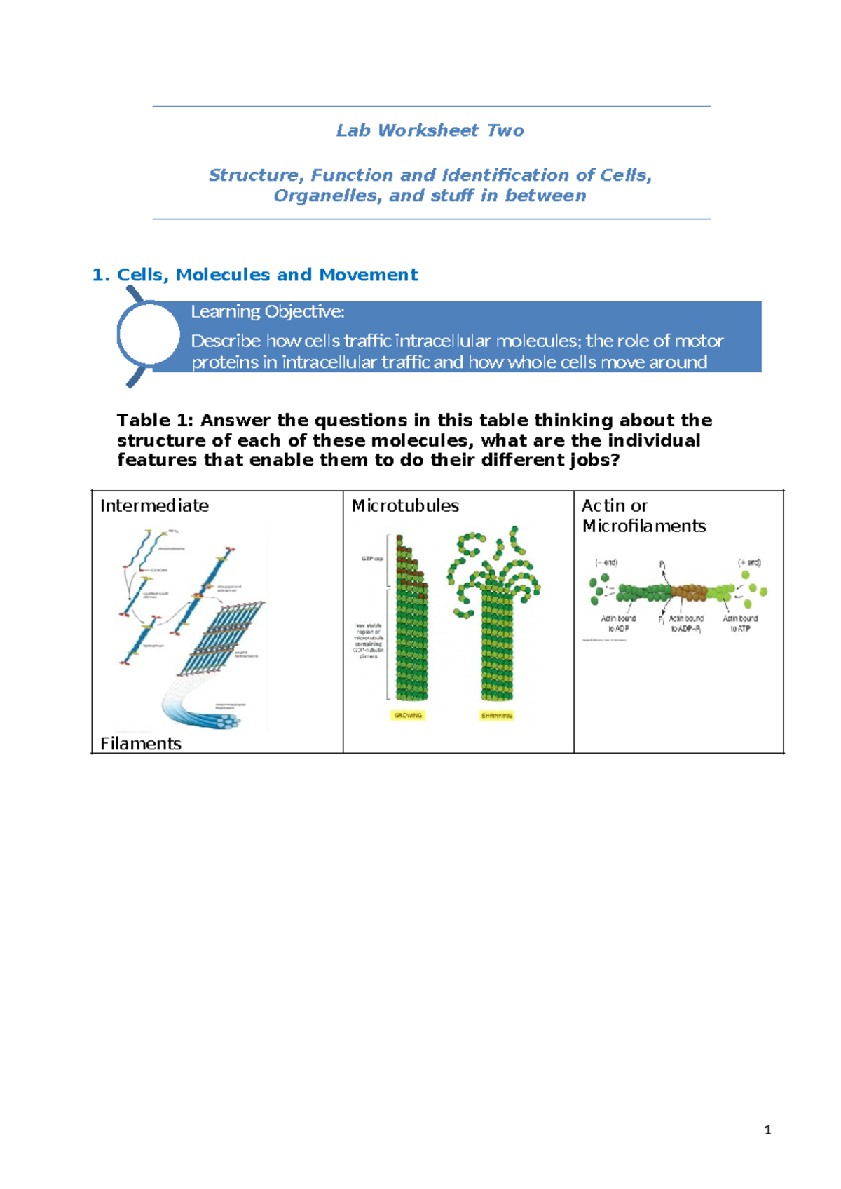 Lab 2 Worksheet Week Two Cells - Lab Worksheet Two Structure, Function ...