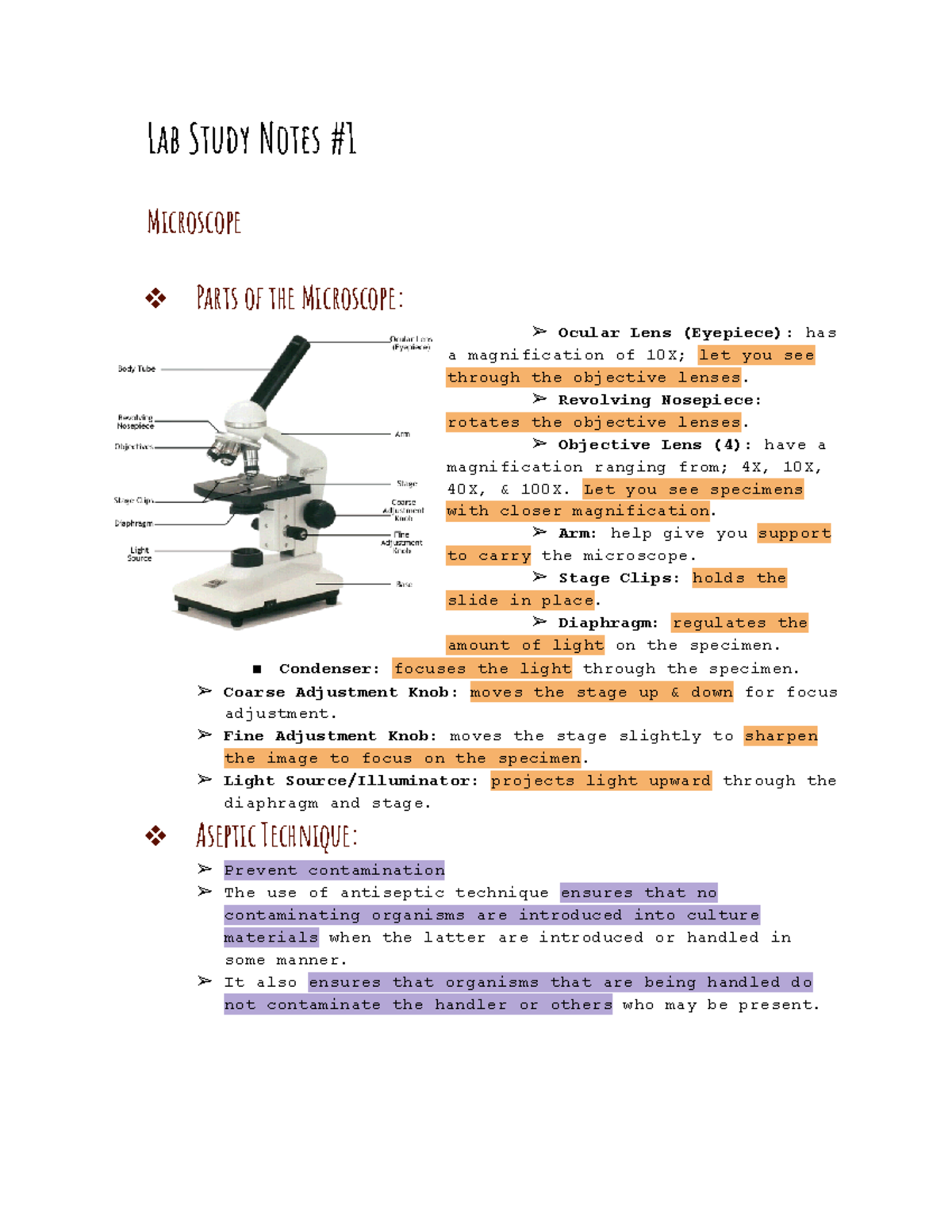 Lab #1 - notes - Lab Study Notes Microscope Parts of the Microscope ...
