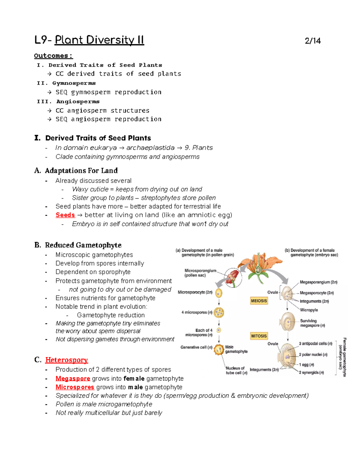Lecture 9- Plant Diversity 2 - L9- Plant Diversity II 2/ Outcomes: I ...