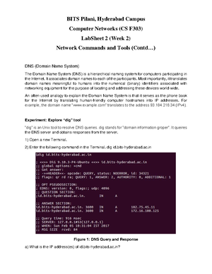 Computer Network Assignment - i) Go-Back-N Protocol: Go-Back-N ...