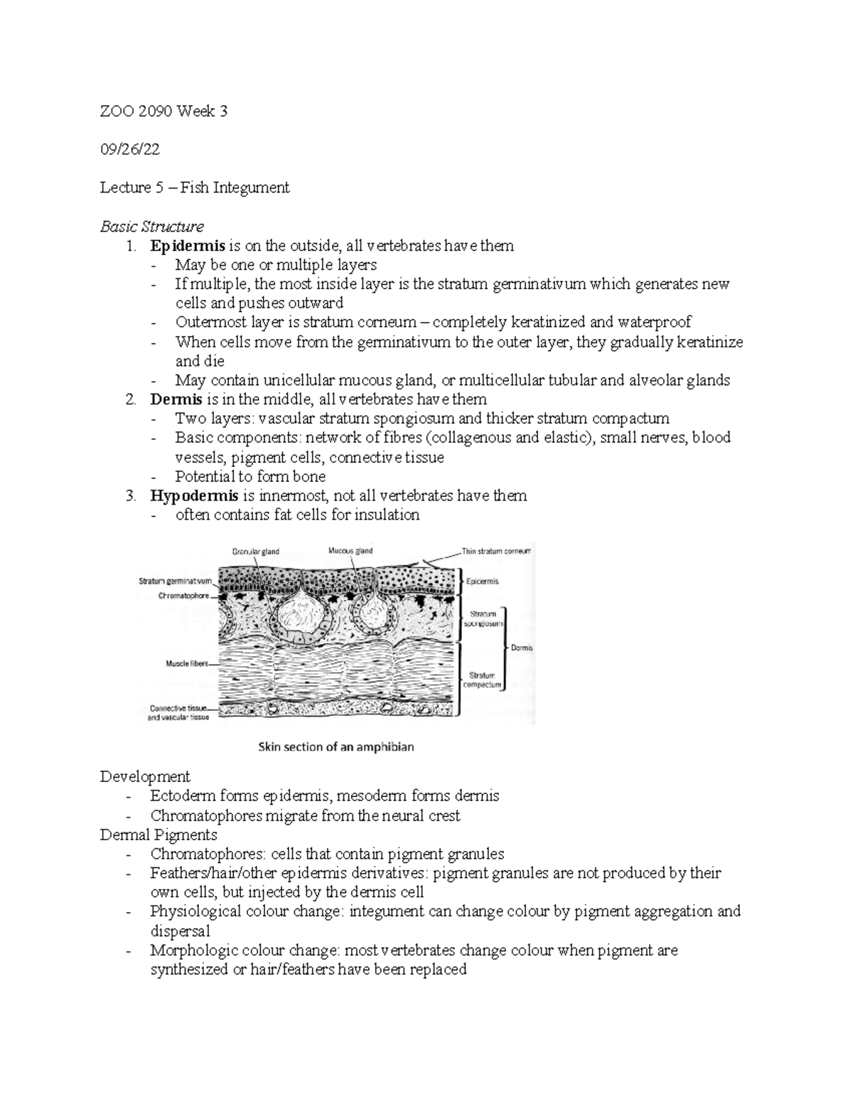 ZOO 2090 Week 3 - Lecture notes from week 3 W23 ZOO 2090 - ZOO 2090 ...