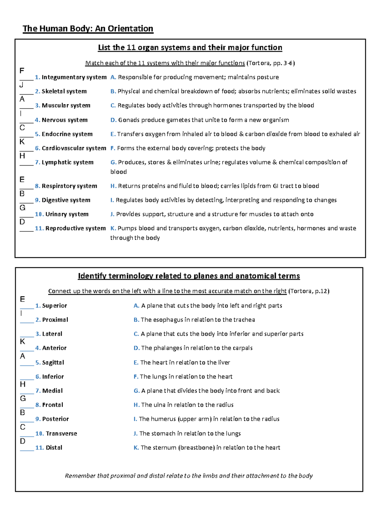 Tutorial 1 Anatomical and Directional Terms Organ systems functions ...