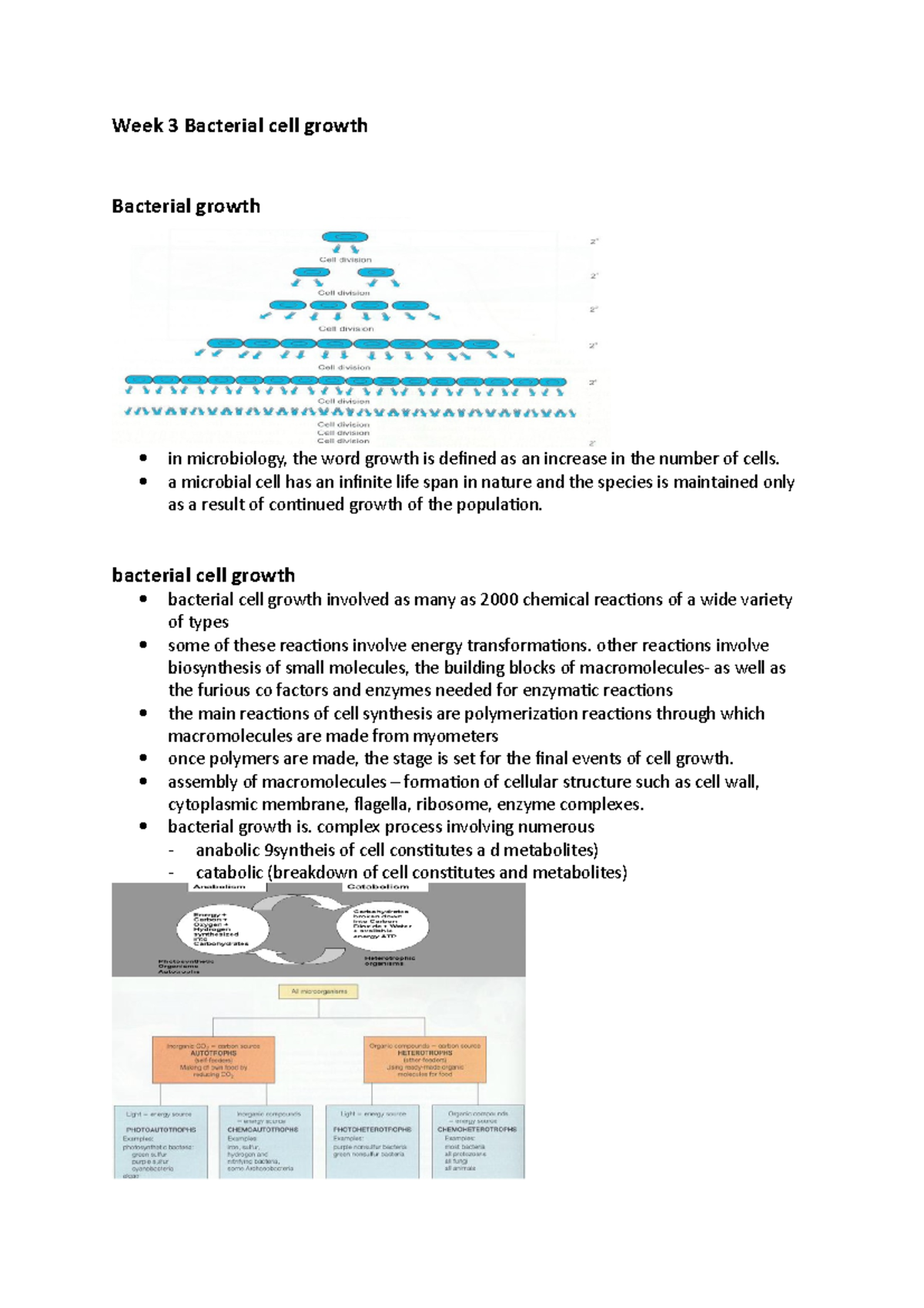Week 3 Bacterial cell growth - Week 3 Bacterial cell growth Bacterial ...