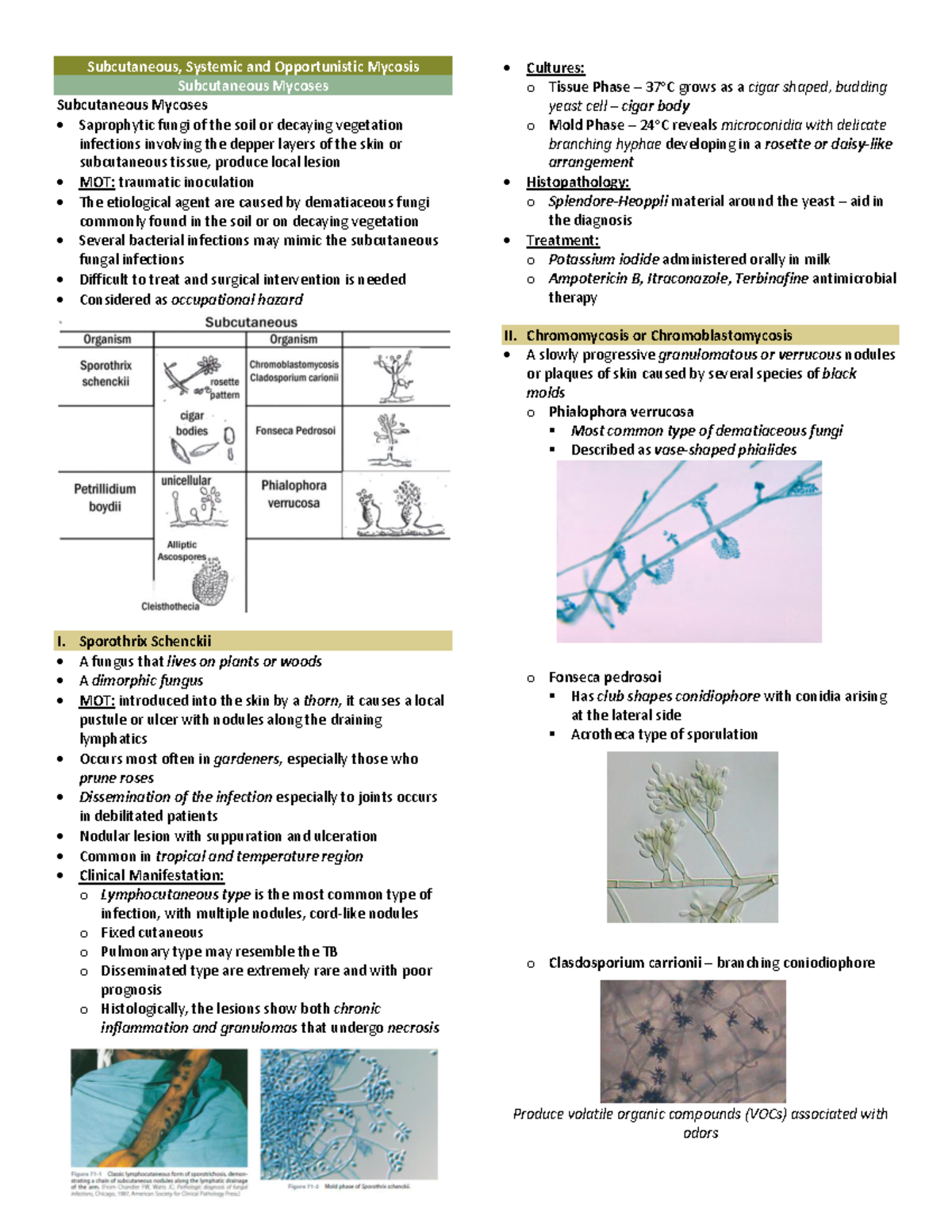 DMCB211-Mycosis 1 - dentistry notes - Subcutaneous, Systemic and ...