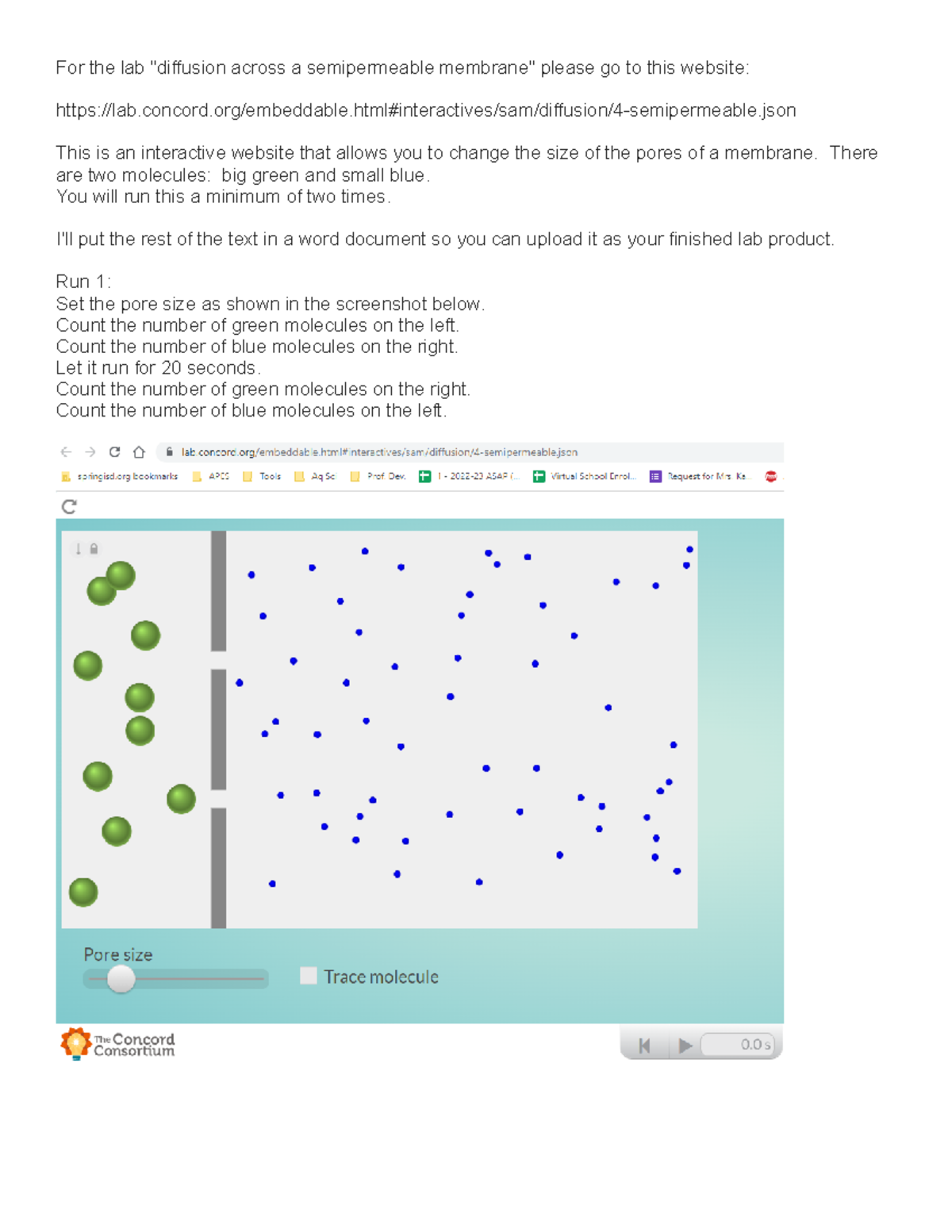 diffusion across a semipermeable membrane virtual lab - For the lab ...