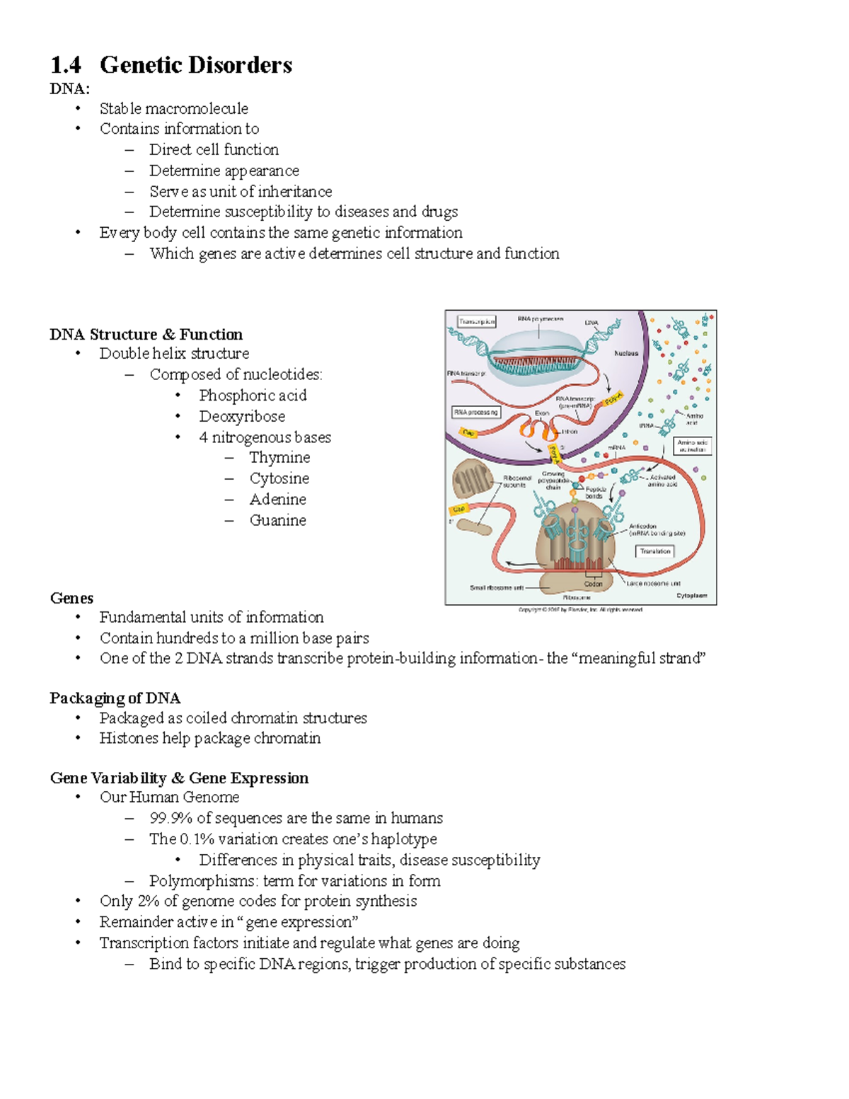 Genetic Disorders - 1 Genetic Disorders DNA: Stable macromolecule ...