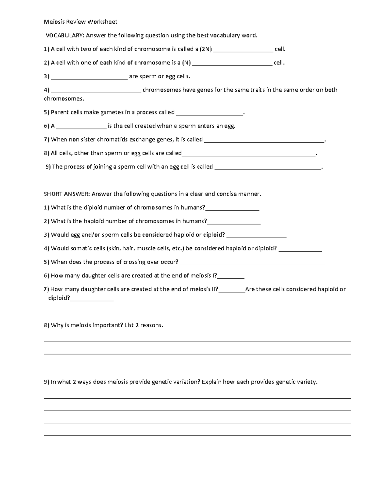 004 R3 Biology exam revision Meiosis - Meiosis Review Worksheet ...