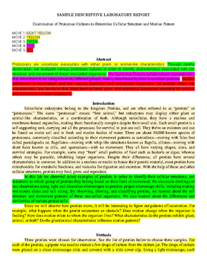 How to Write a Position Paper - Background of the situation 2. Hook a ...