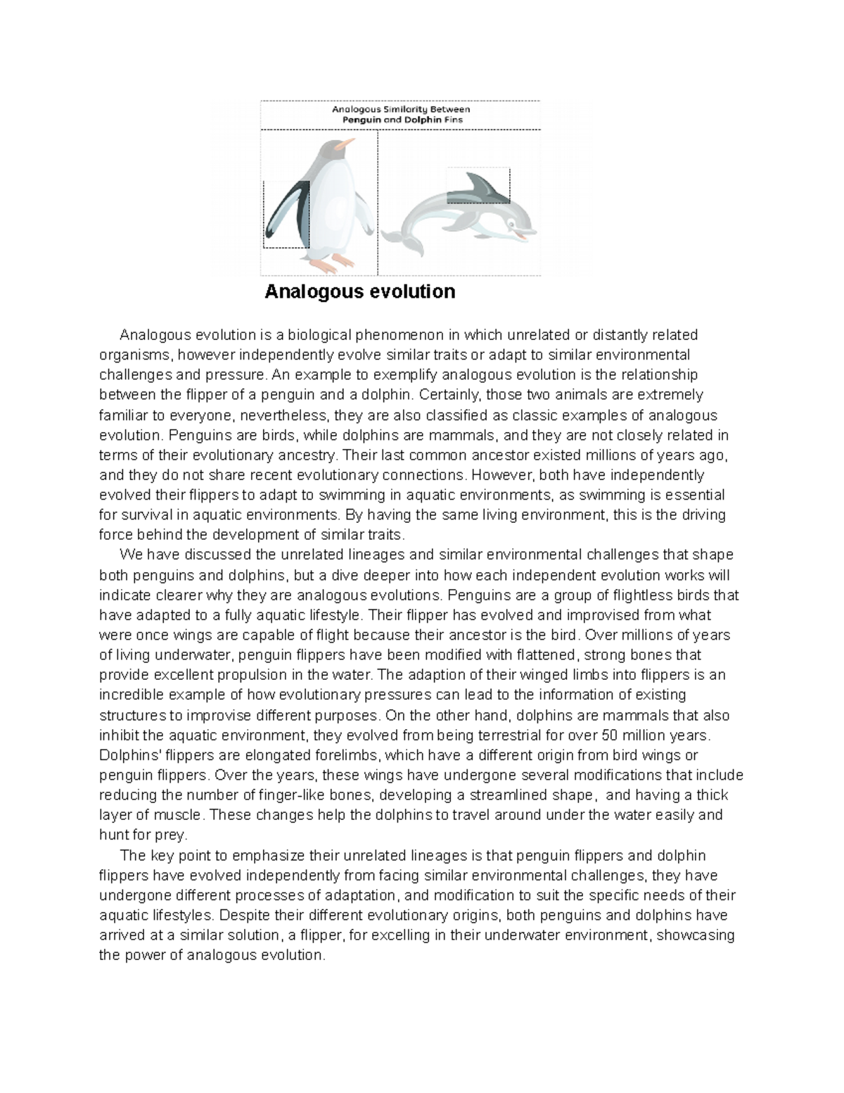 Analogous Evolution: Penguins and Dolphins - Studocu