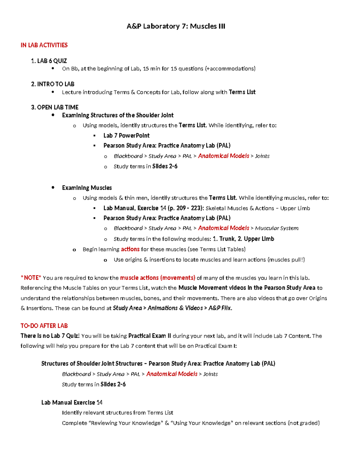 1. Lab 7 Instructions & Study Guide - A&P Laboratory 7: Muscles III IN LAB ACTIVITIES 1. LAB 6 ...