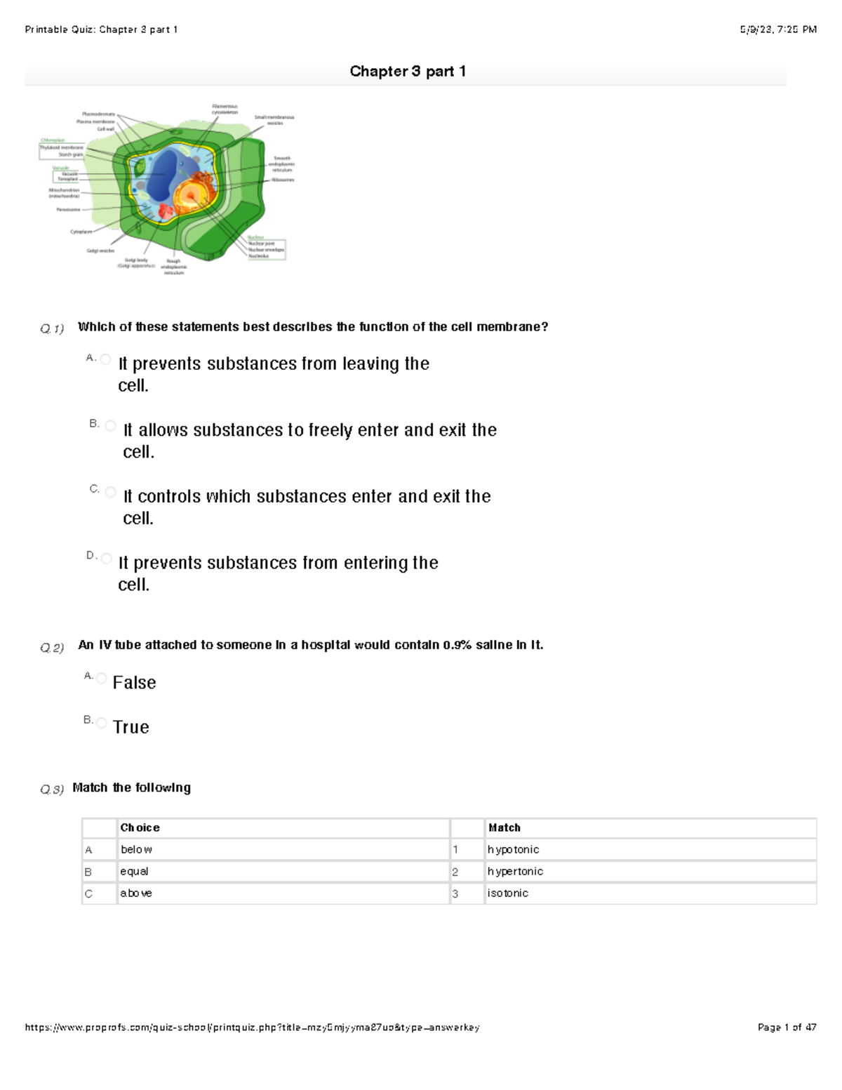 Printable Quiz: Chapter 3 part 1 - Q) Which of these statements best ...