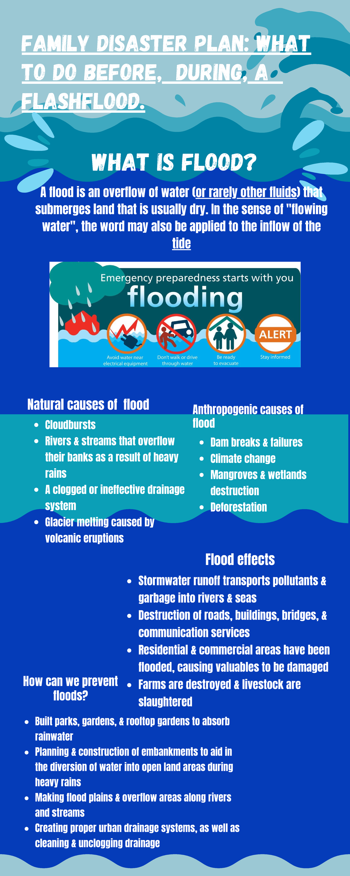 family disaster plan - FAMILY DISASTER PLAN: WHAT TO DO BEFORE, DURING ...