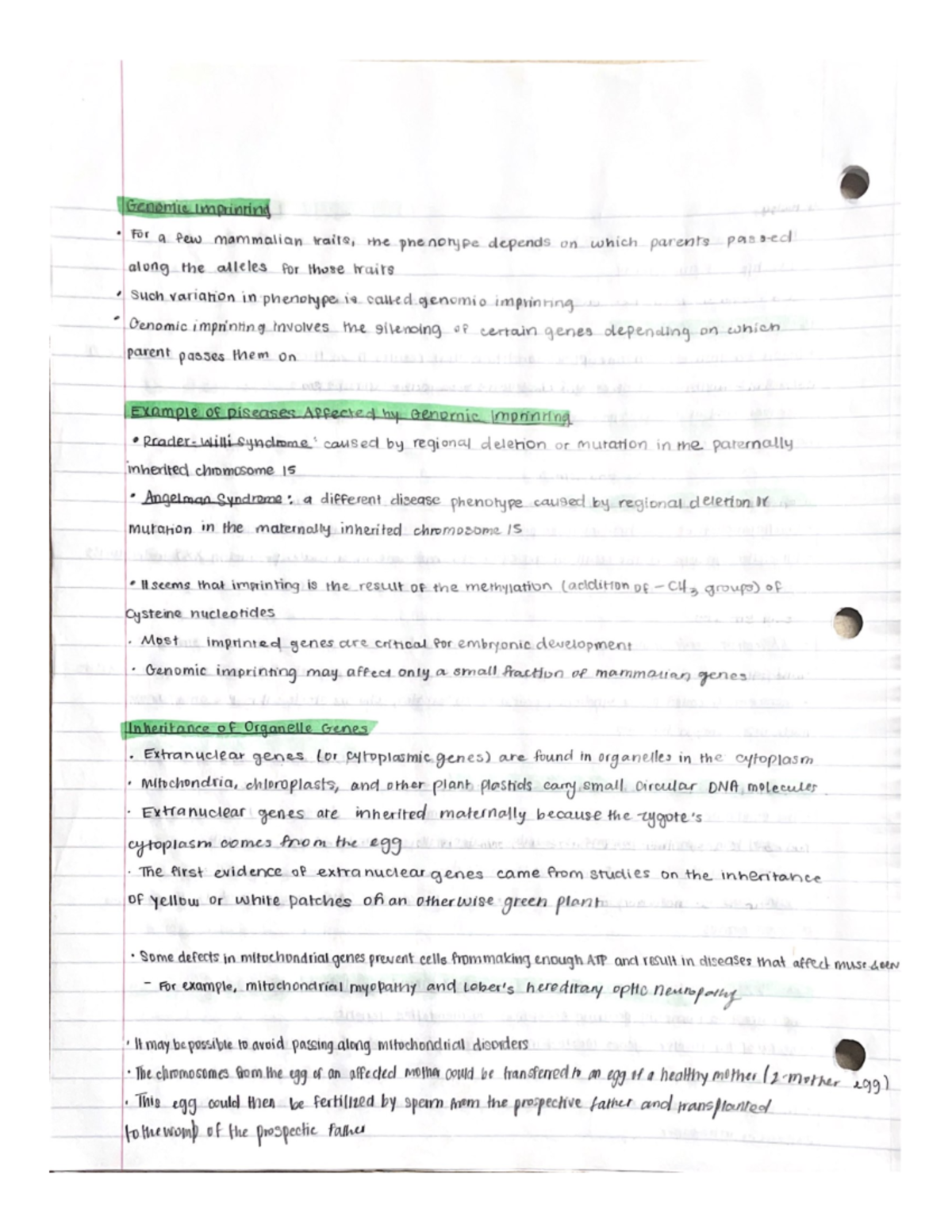 Biology 1 - The Chromosomal Basics Of Inheritance Part 3 - BIO 1134 ...
