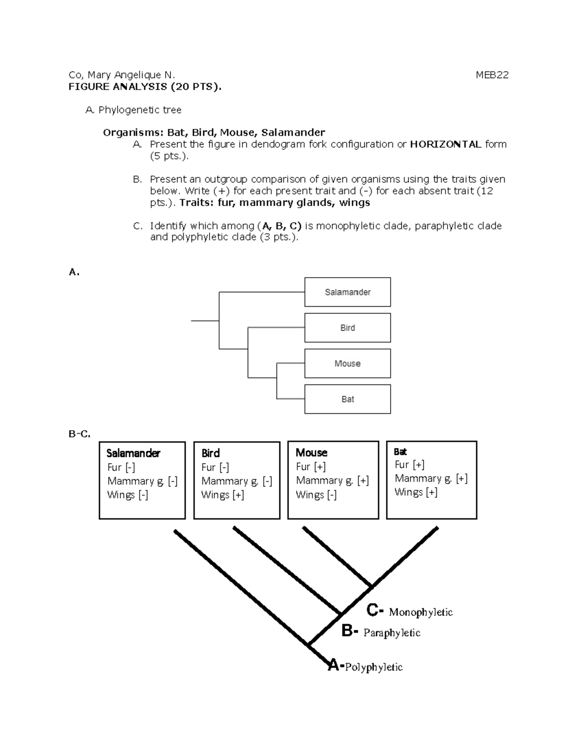 Compa Ana Lab Figure analysis phylogenetic tree - Co, Mary Angelique N ...
