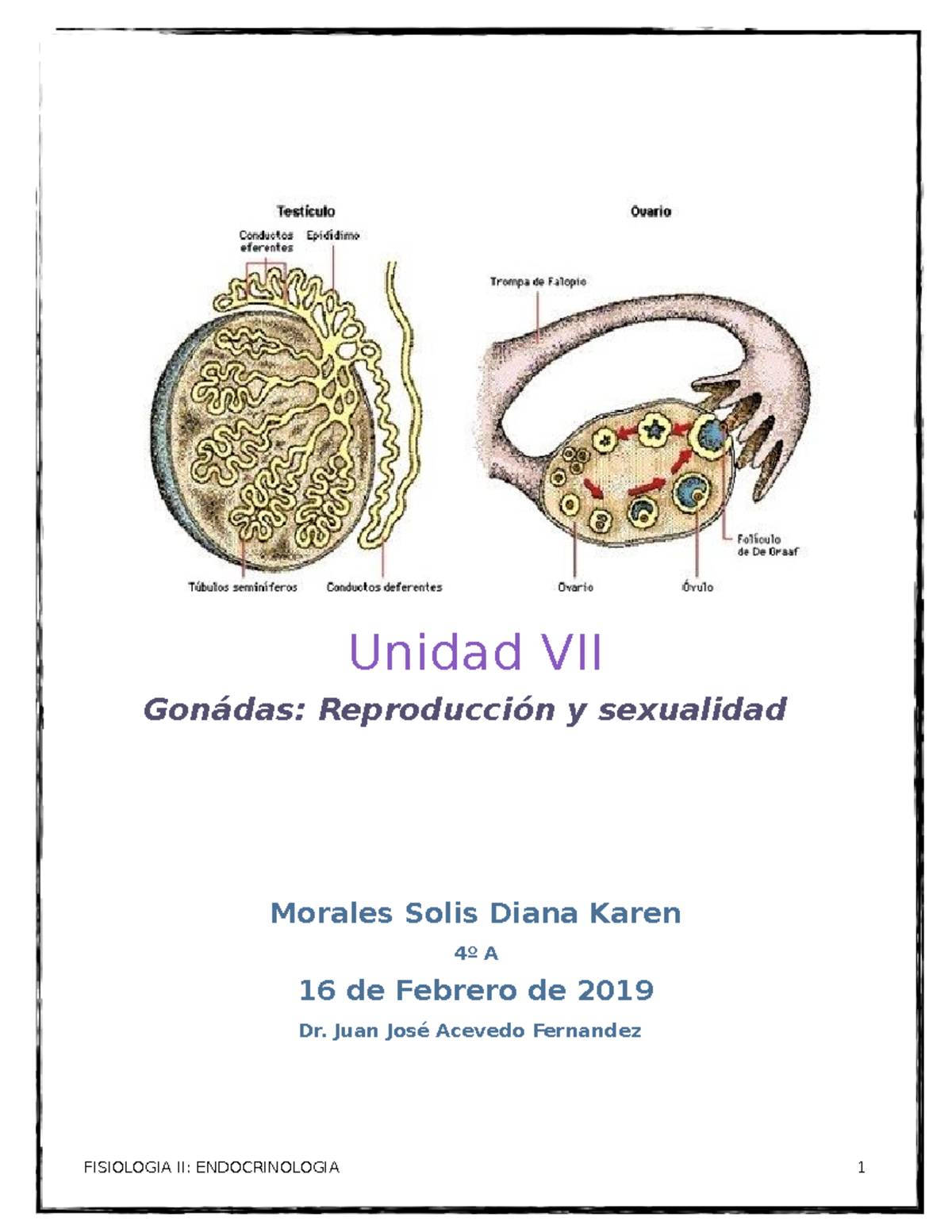Gónadas : Reproducción y sexualidad - Unidad VII y sexualidad Morales ...