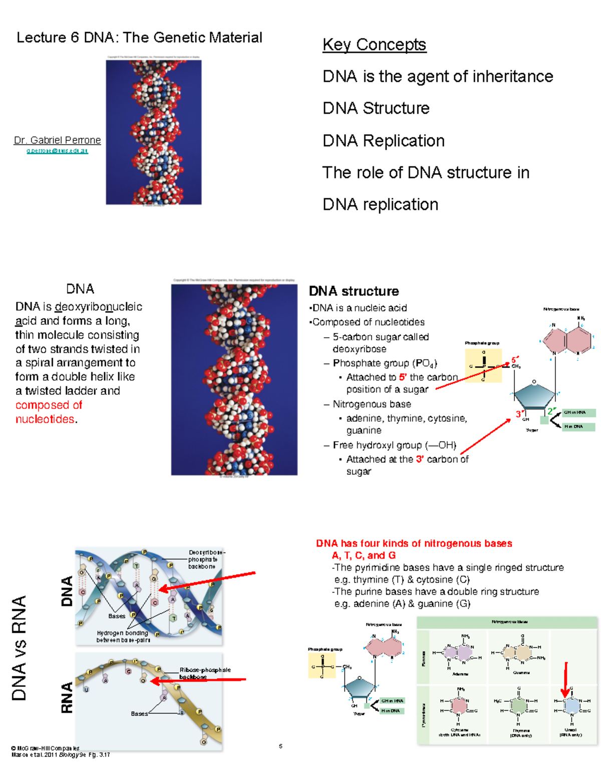 6 - lecture slide Notes - Lecture 6 DNA: The Genetic Material Dr ...