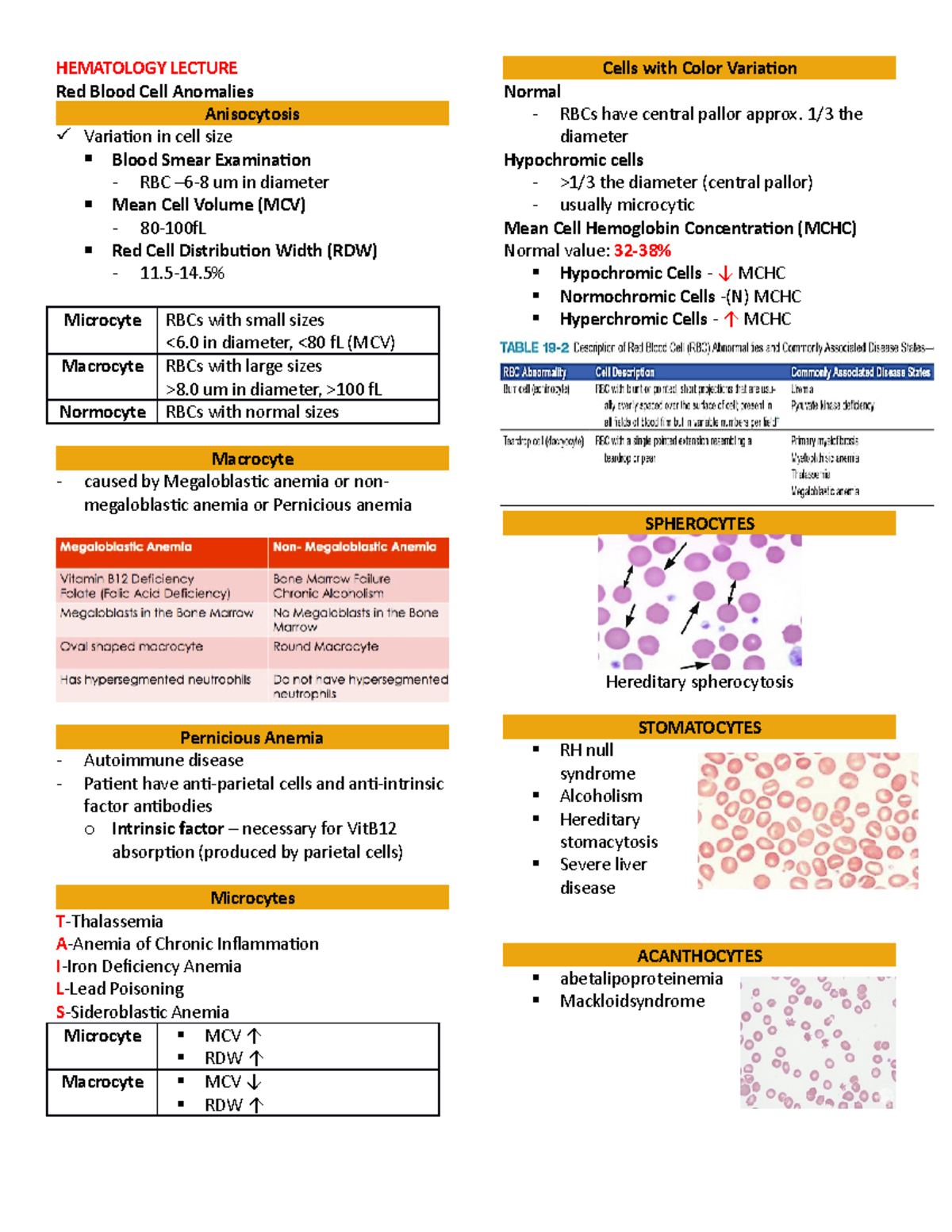 HEMA- Anomalies - HEMATOLOGY LECTURE Red Blood Cell Anomalies ...