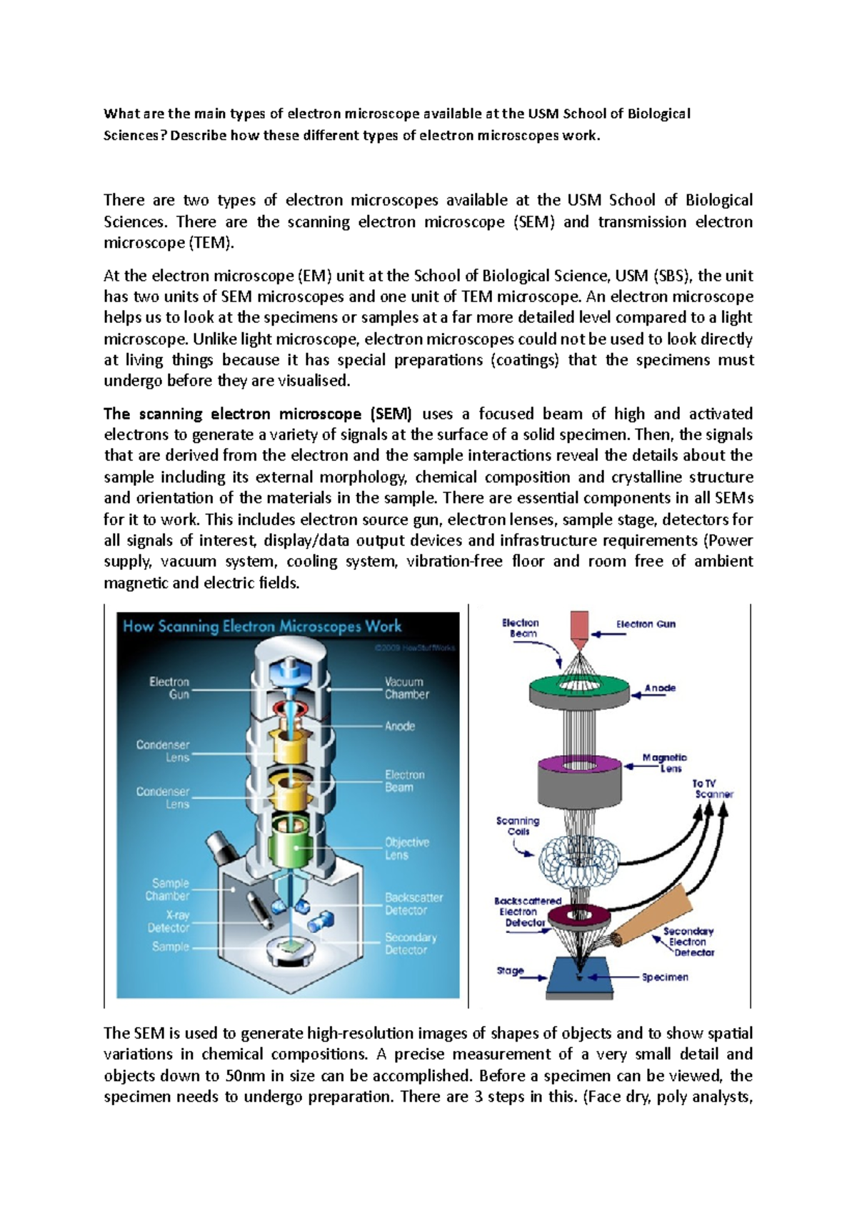 Exam 8 July, answers - What are the main types of electron microscope ...