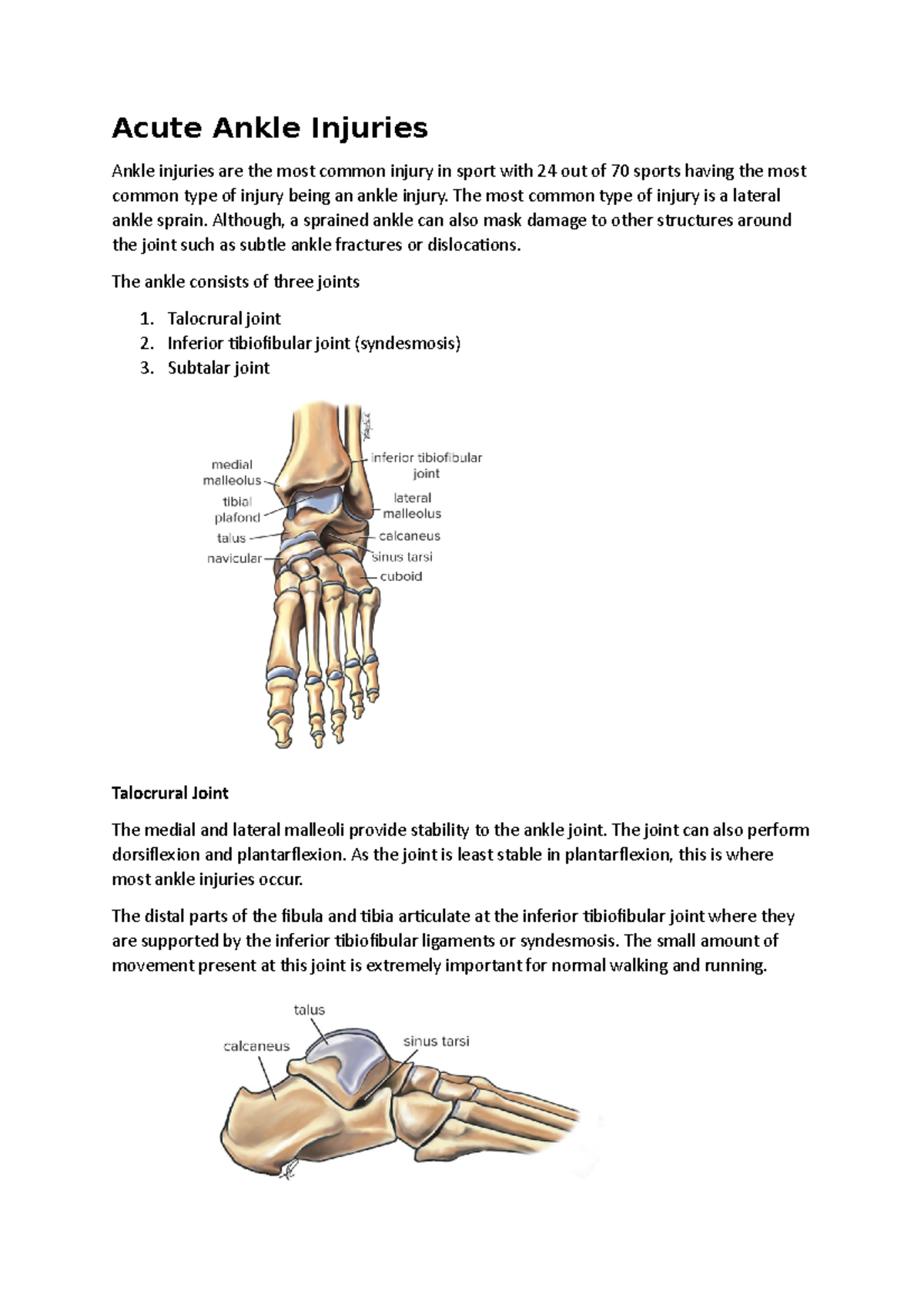 Acute Ankle Injuries - Acute Ankle Injuries Ankle injuries are the most ...