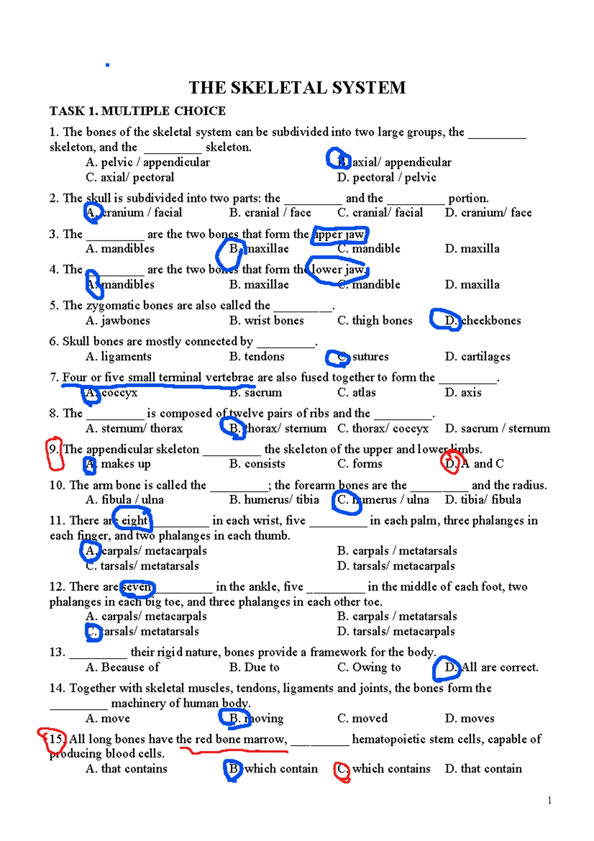 Handout- Skeletal System - 1 THE SKELETAL SYSTEM TASK 1. MULTIPLE ...