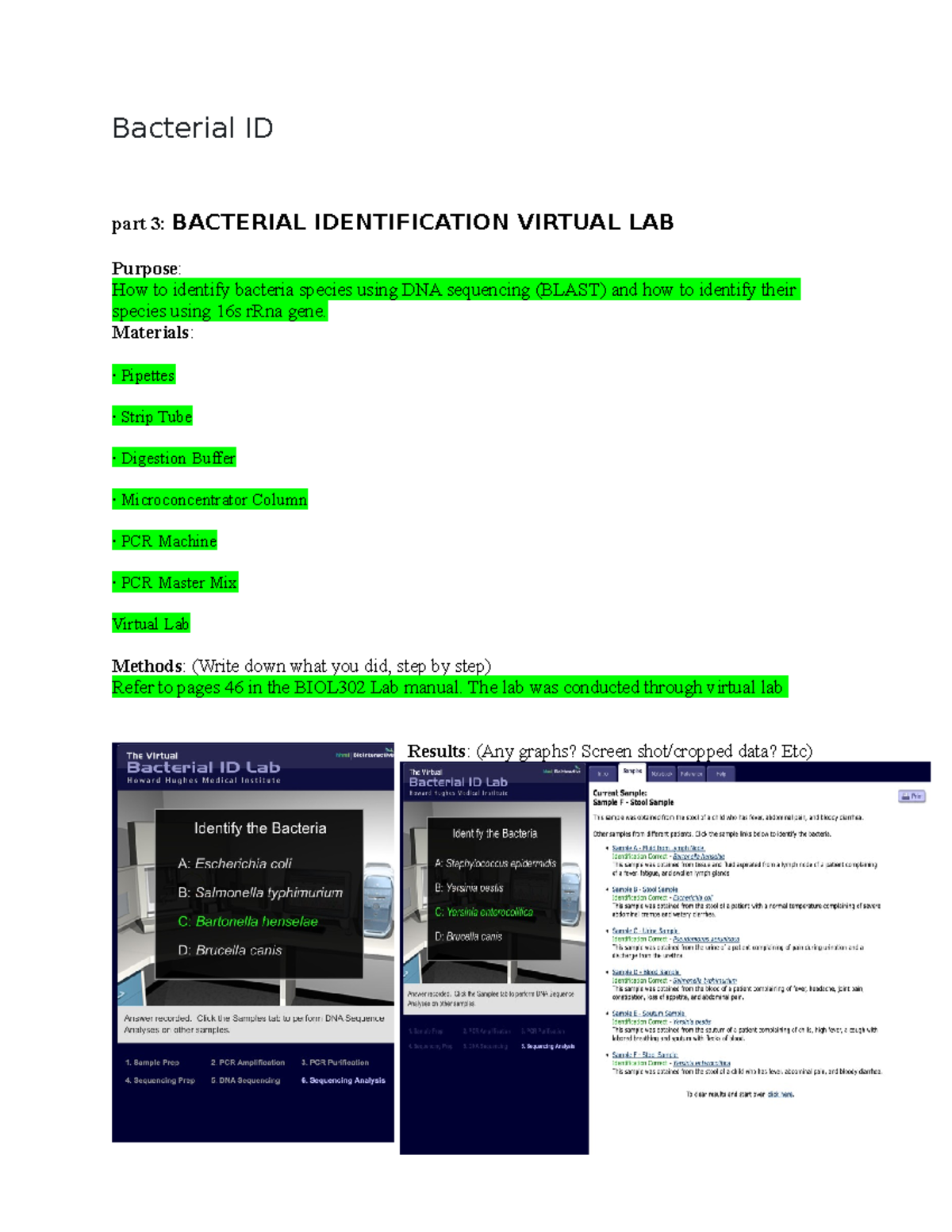 Bacteria Identification - Bacterial ID part 3: BACTERIAL IDENTIFICATION ...