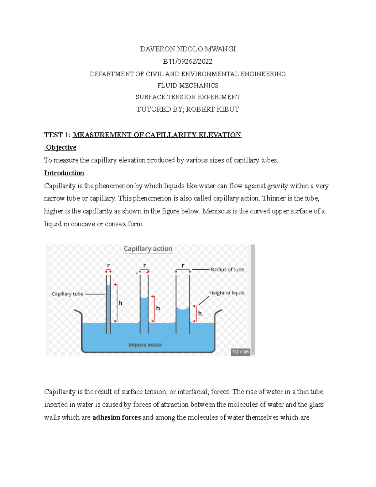 CEEN Practical Capilarity - DAVERON NDOLO MWANGI B11/09262/ DEPARTMENT ...
