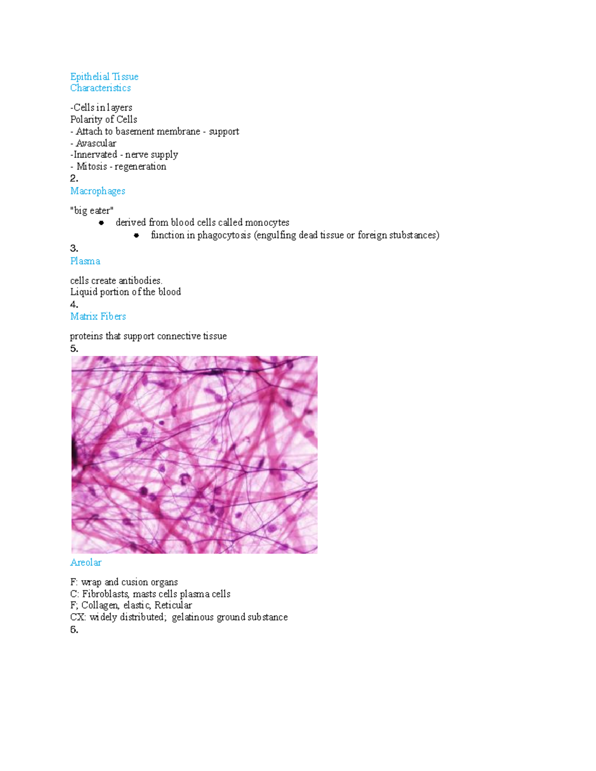 Tissue- Reviewer - HISTOLOGY - Epithelial Tissue Characteristics -Cells ...