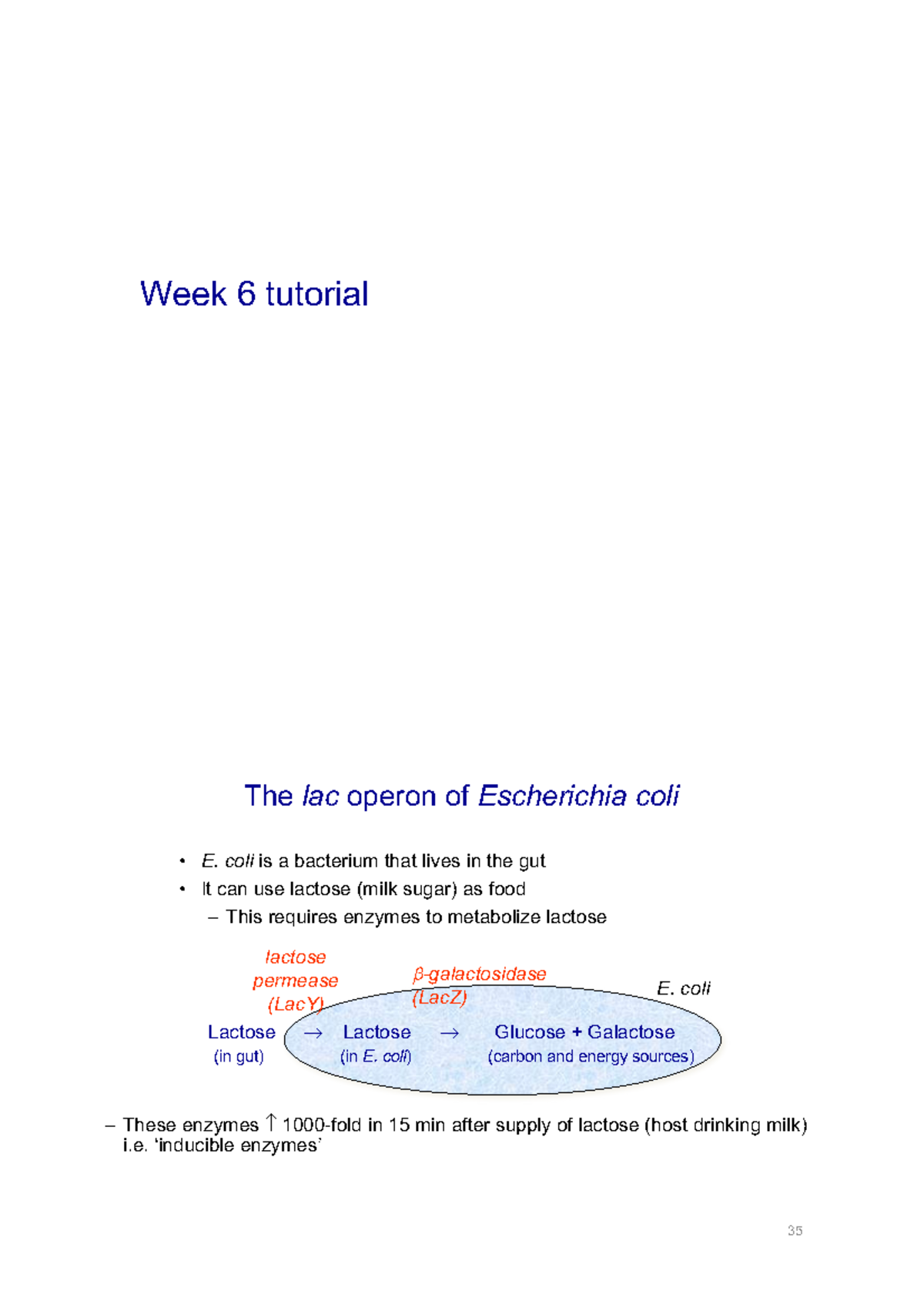 BIOL1020 Week6 tutorial studentcopy - Week$6$tutorial The$lacoperon of ...
