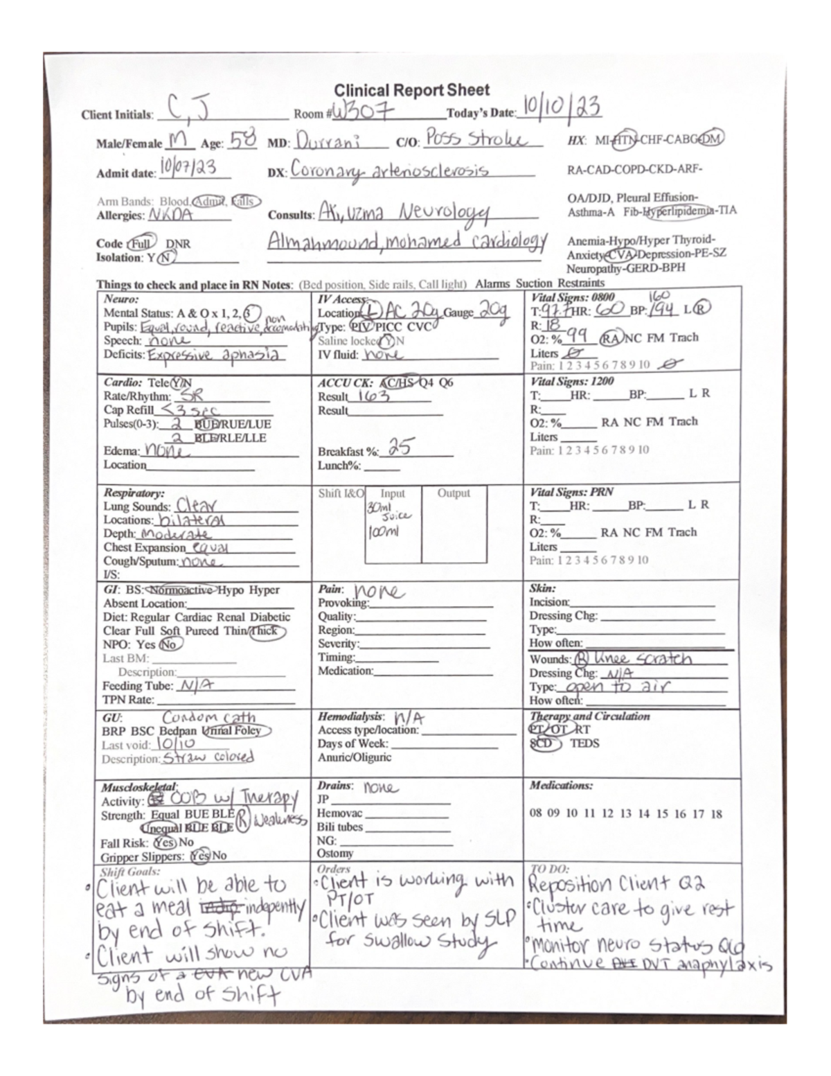 Client report sheet 10 - Clinical paperwork - 1001 - Studocu
