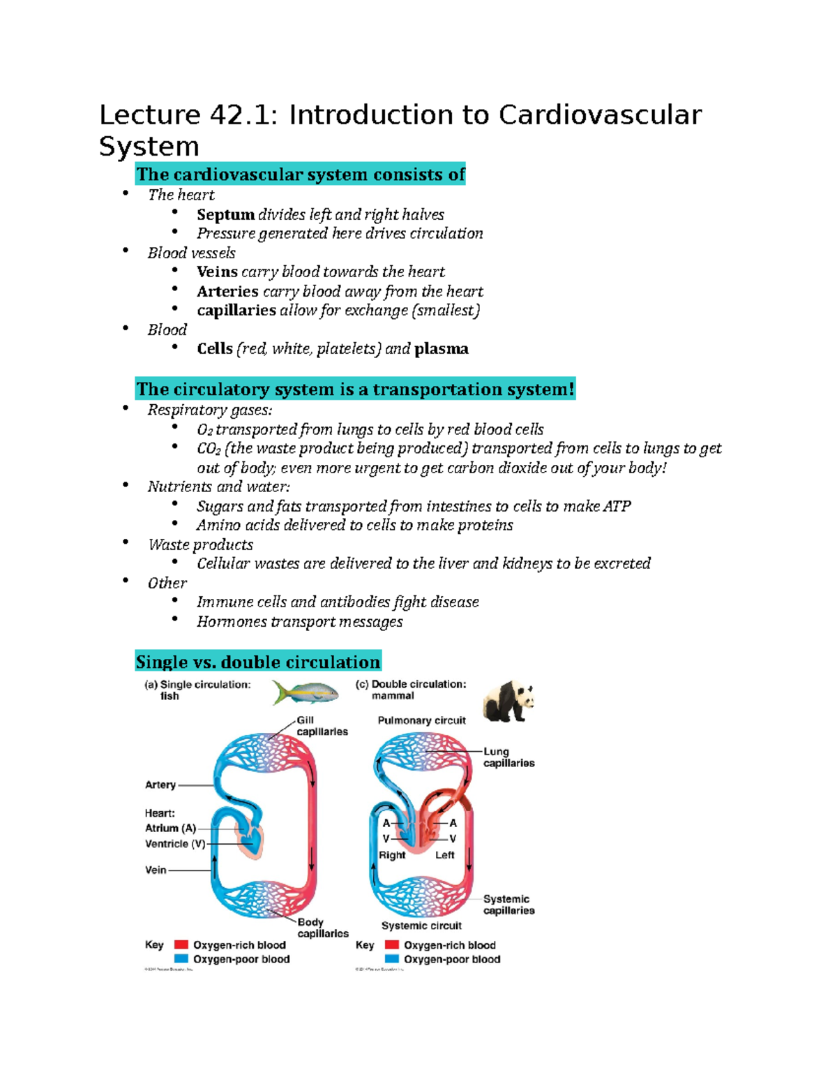 Chapter 42 part 1 - Lecture 42: Introduction to Cardiovascular System ...