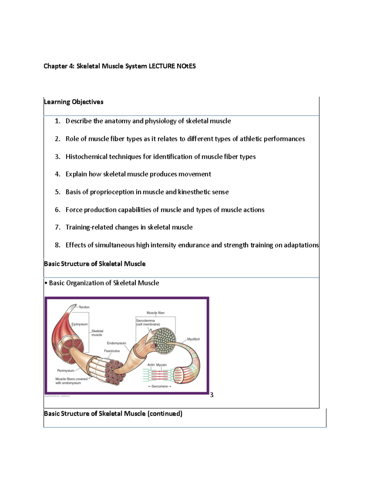 Skeletal 1 - detailed lecture notes - Chapter 4: Skeletal Muscle System ...