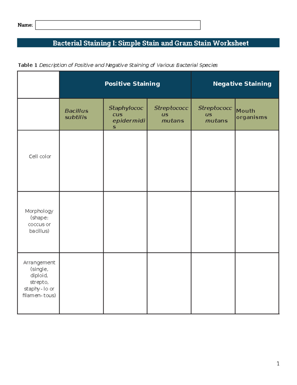 Bio205-04 - work sheet for lab 4 - Bacterial Staining I: Simple Stain ...