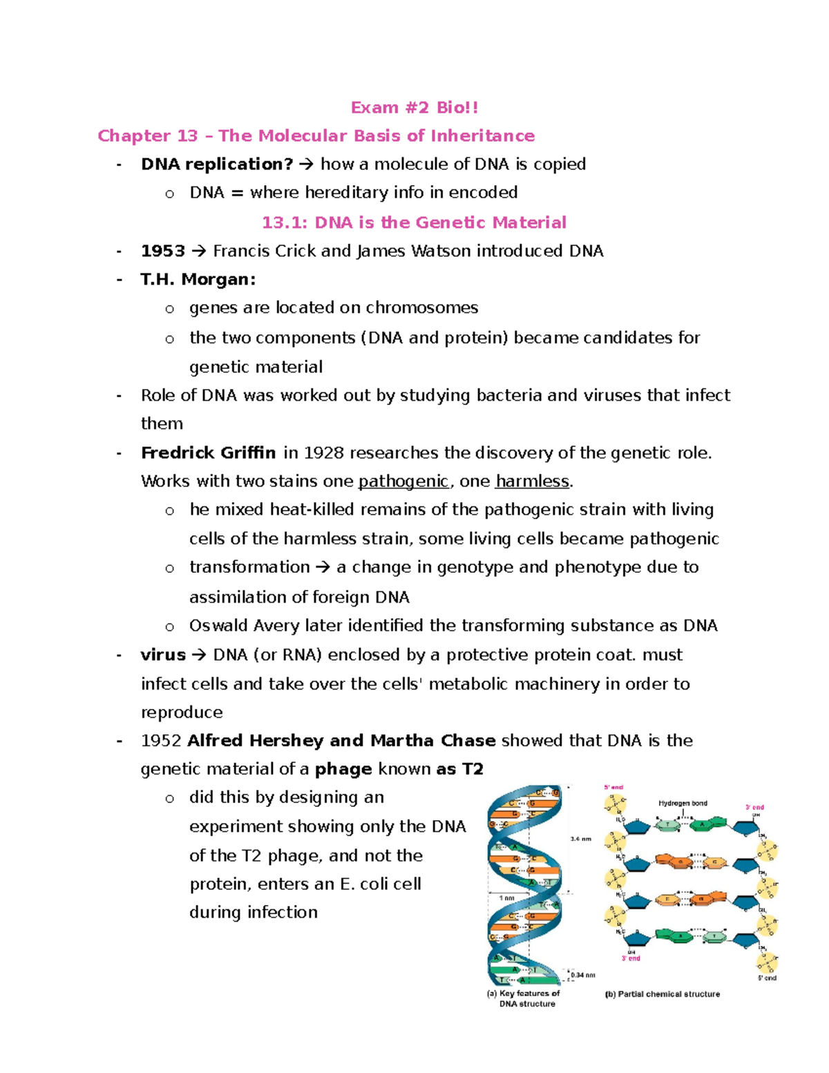 Biologia - Gentics - Exam #2 Bio!! Chapter 13 – The Molecular Basis of ...
