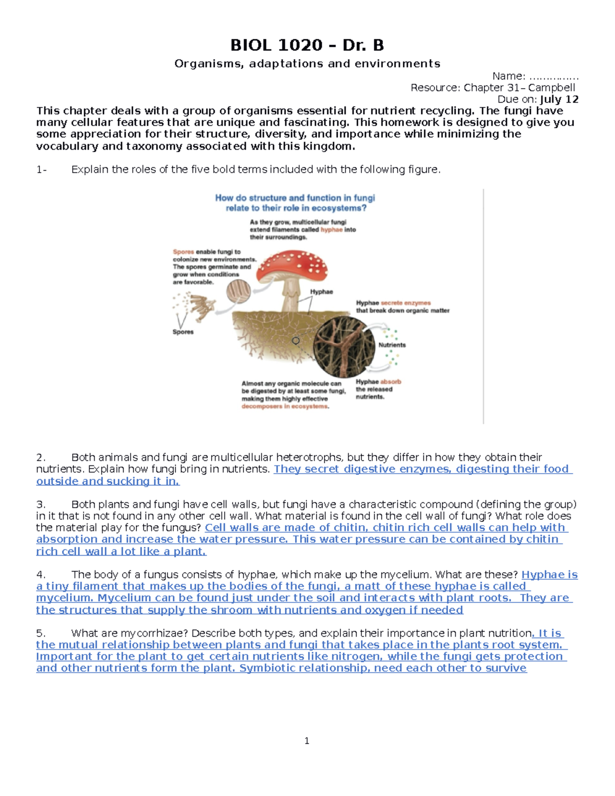 13. Homework Amazing fungi CH 31 - Organisms, adaptations and ...