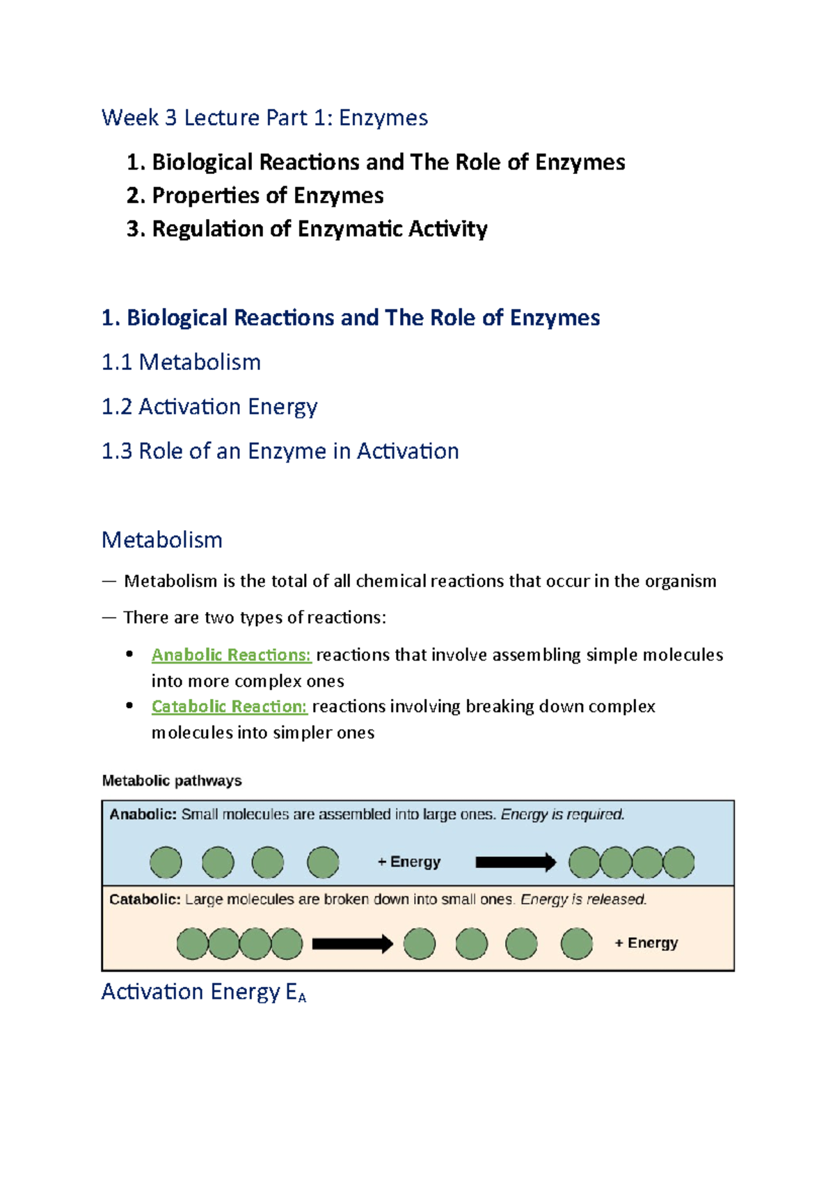 Week 3 Lecture Part 1- Enzymes - Week 3 Lecture Part 1: Enzymes 1 ...