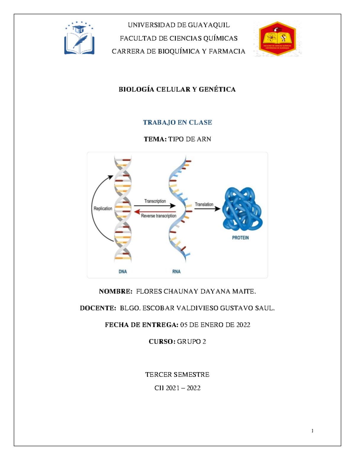Tipos DE ARN (ácido ribonucleico) - FACULTAD DE CIENCIAS QUÍMICAS ...