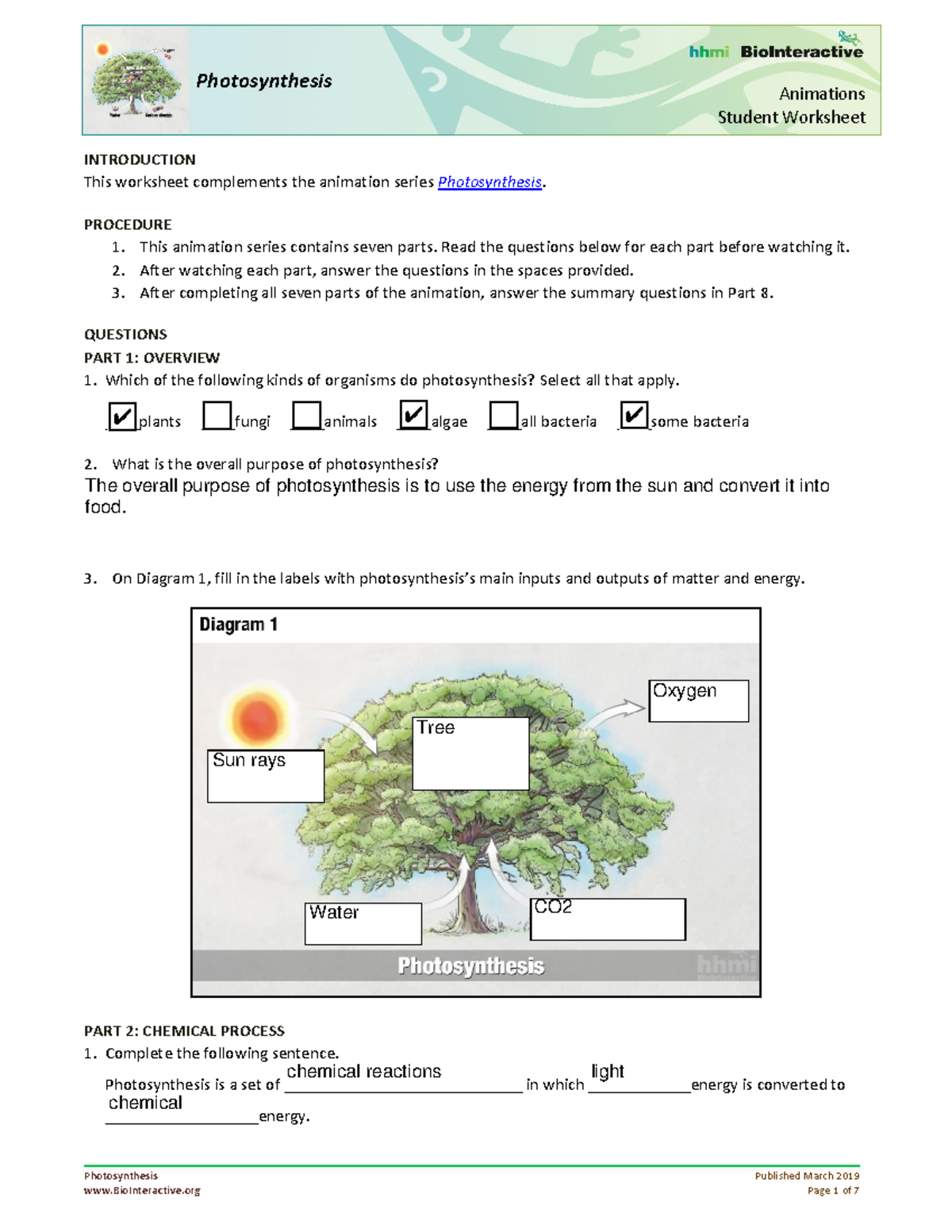 Kami Export - HHMI Biointeractive-Photosynthesis - Photosynthesis ...