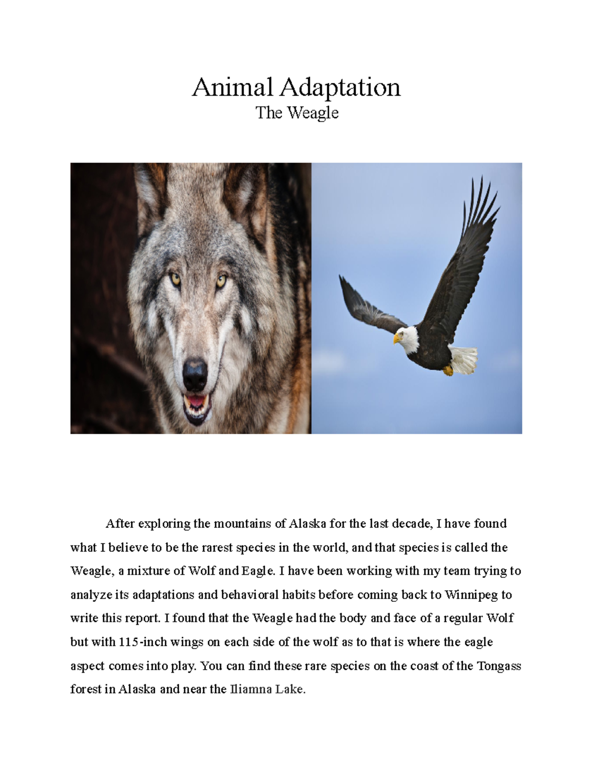 Animal Adaptation - Notes - Animal Adaptation The Weagle After ...
