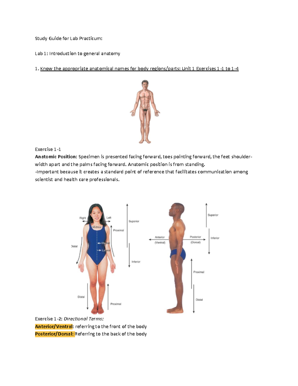 Study Guide for Lab Practicum 1 1 2 - Study Guide for Lab Practicum: Lab 1: Introduction to ...