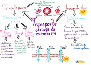 Leica-Cyto Vision - ............. - CytoVision ® ####### The platform ...