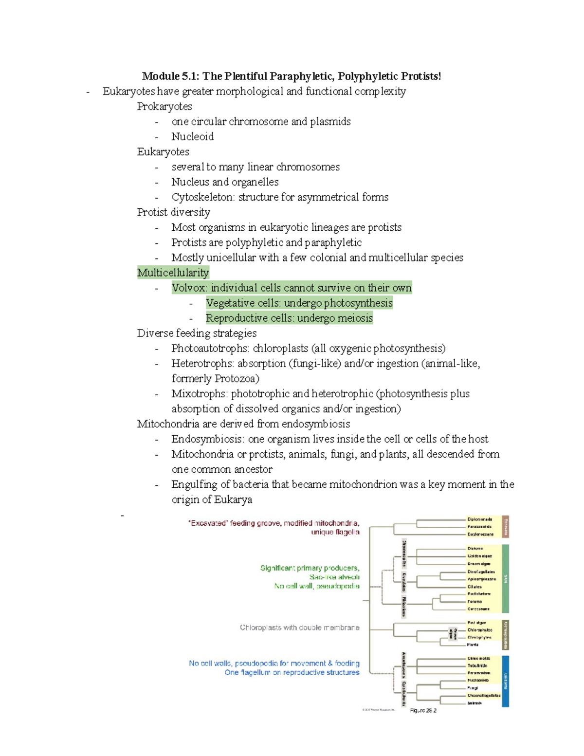 Module 5 Notes (Protists and Plants) - Module 5: The Plentiful ...