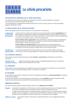 Capítulo 9 - Resumen Guyton E Hall Tratado De Fisiologia Médica - CAPÍTULO 9 MÚSCULO CARDÍACO ...