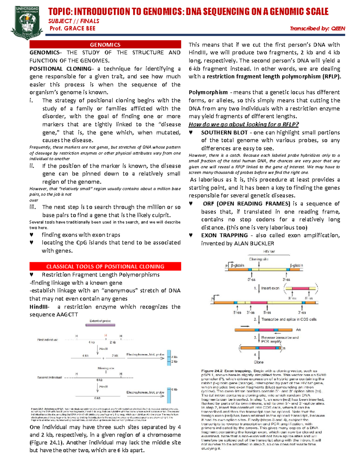 Genomics I ( Outline) - MOLECULAR BIOLOGY - TOPIC: INTRODUCTION TO ...