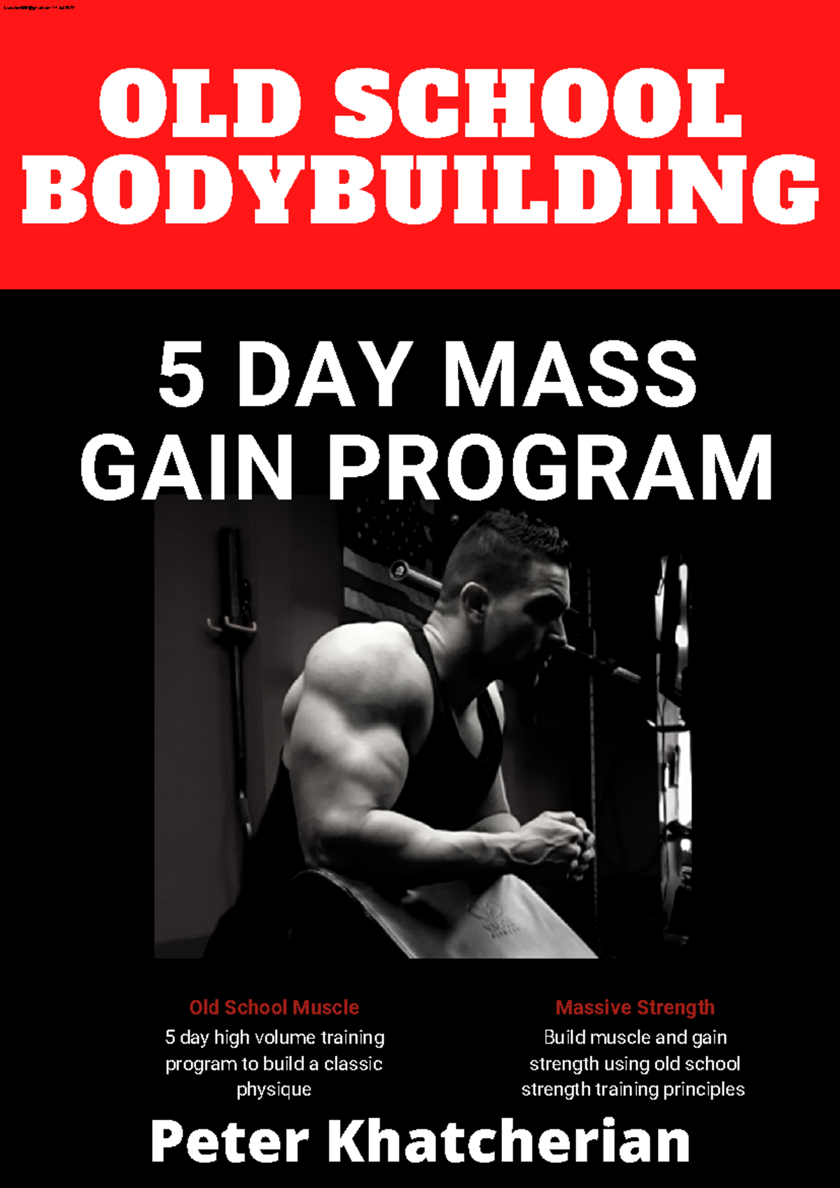 5Day Mass Gain - wadawd - OLD SCHOOL BODYBUILDING 5 day high volume ...