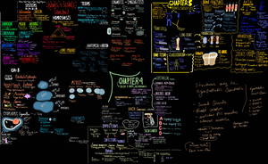 Chapter 1 - Professor Lisa Marr - Chapter 1 Anatomy and Physiology 1 ...